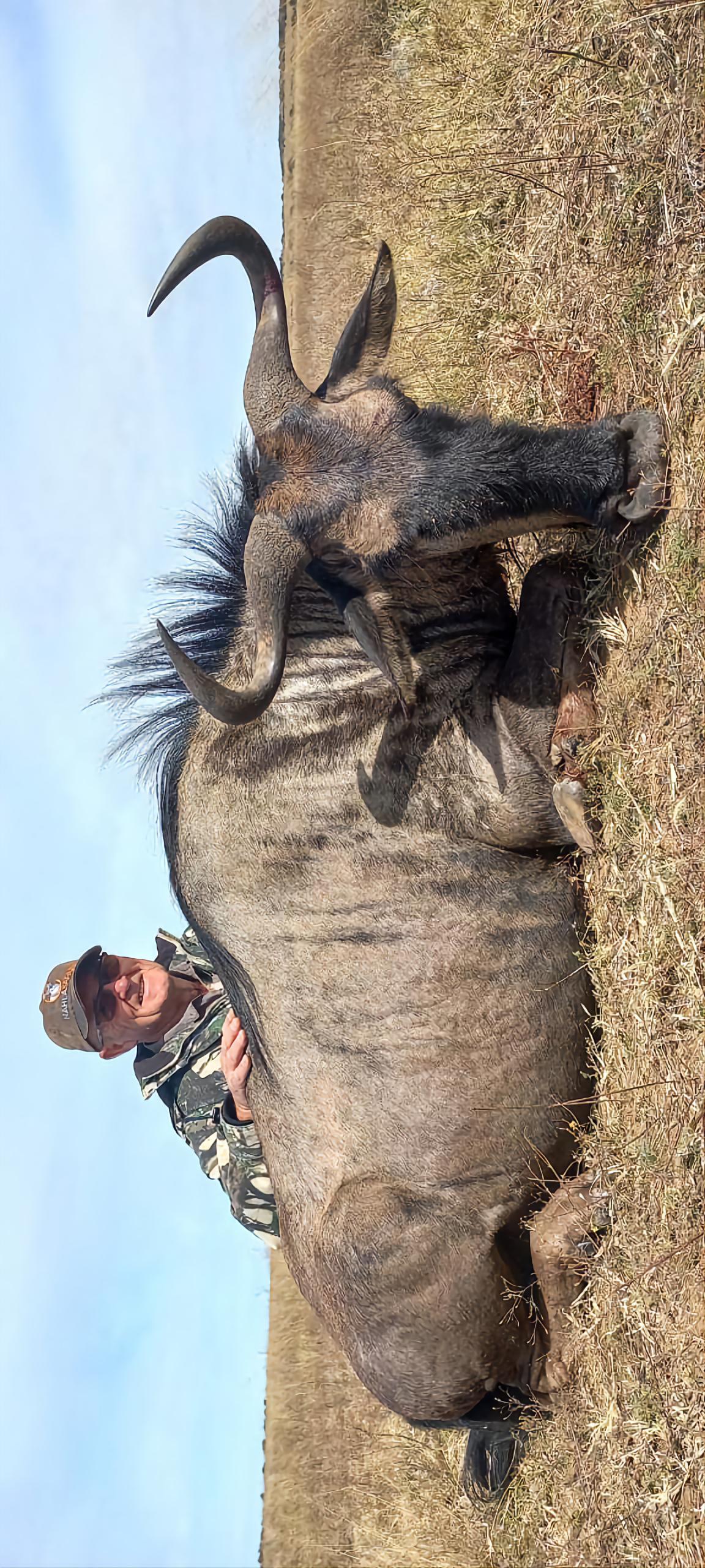 Hunting Gallery - NARFO